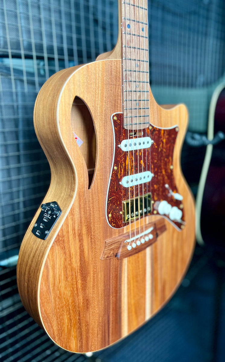 Cole Clark 'True Hybrid' TL2EC-BLBL-HSS Australian Blackwood in Hardca ...